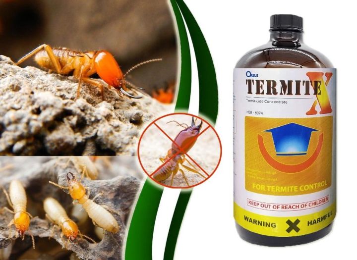 TERMITE X ANAY KILLER | (PAMATAY ANAY ; LANGGAM ; BUBUYOG) | AVAILABLE ...