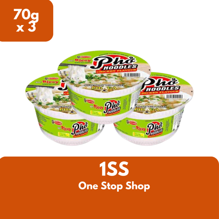 Ace Cook Pho Noodles Chicken Noodles 70g x 3 | Lazada PH