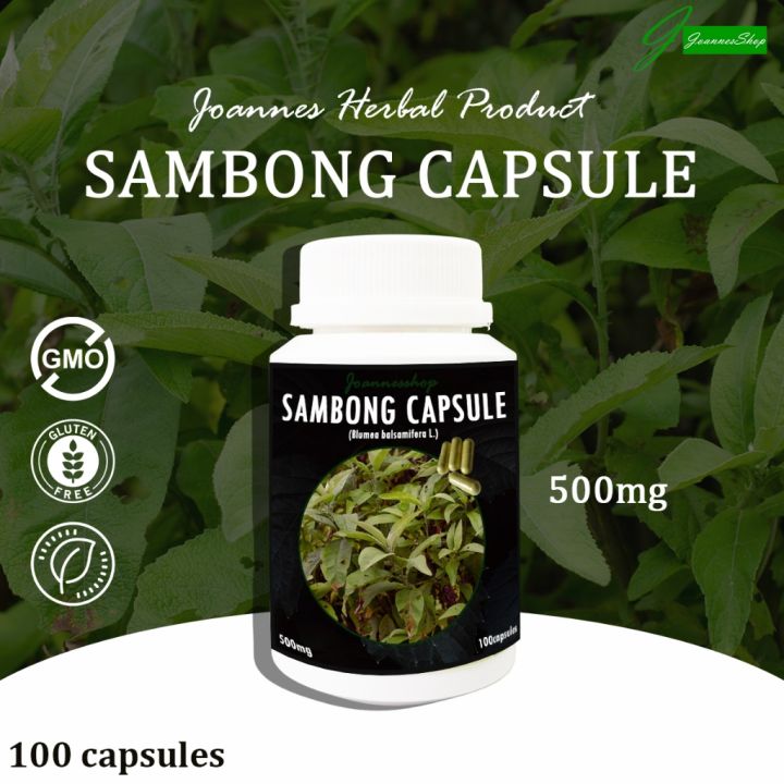 Sambong capsule 500mg 100capsules | Lazada PH