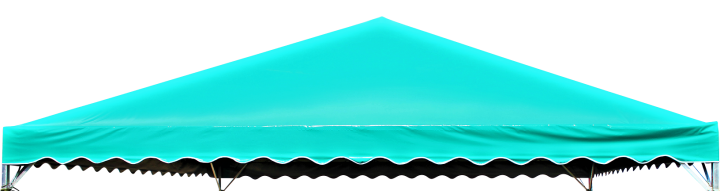 [PRE-ORDER] Pyramid Design 20' x 20' Canvas Only Canopy Tent Roof Top ...