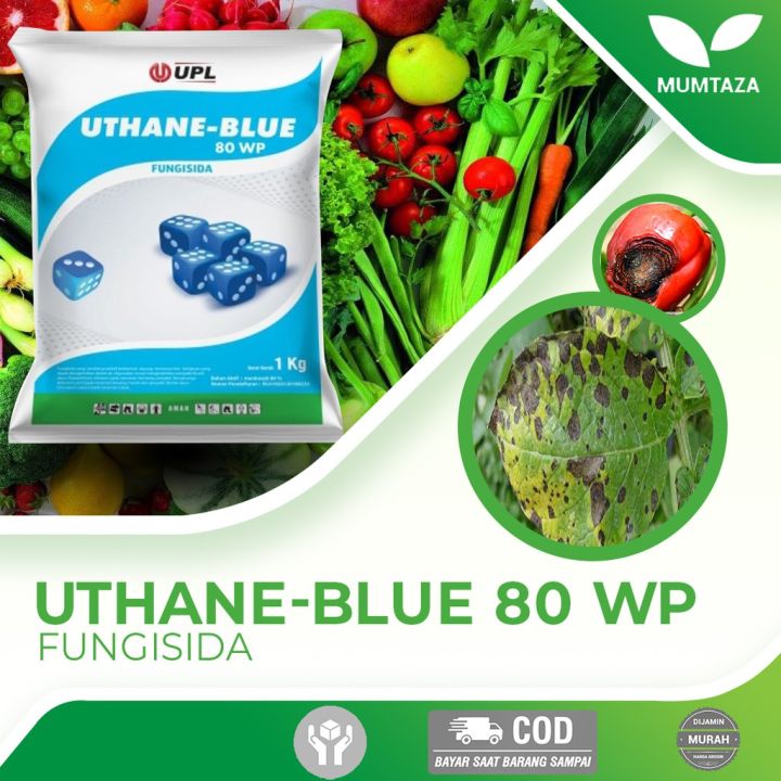 Fungisida Uthane Blue 80WP 800 gram (cocok untuk mangga) | Lazada Indonesia