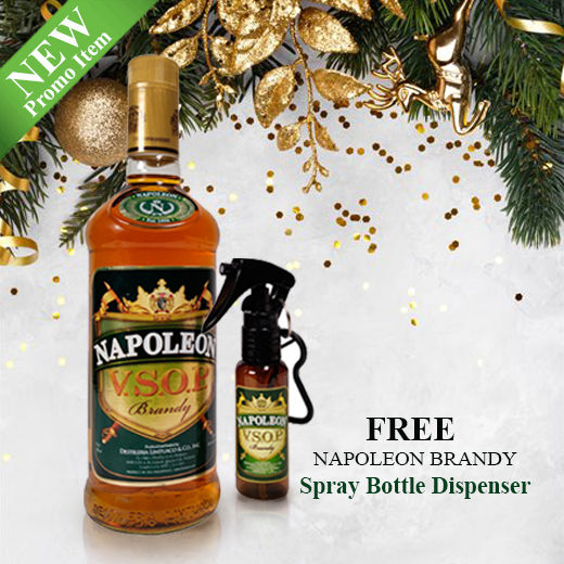 Napoleon Brandy VSOP Regular 750ml with Free Spray Bottle Dispenser ...