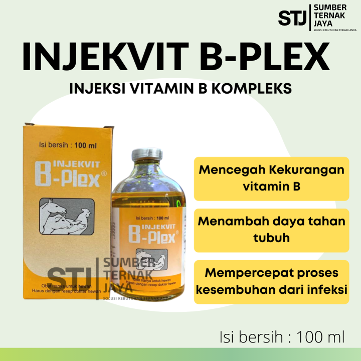 Injekvit B-Plex Injeksi Vitamin B Kompleks isi 100 ml untuk hewan ...
