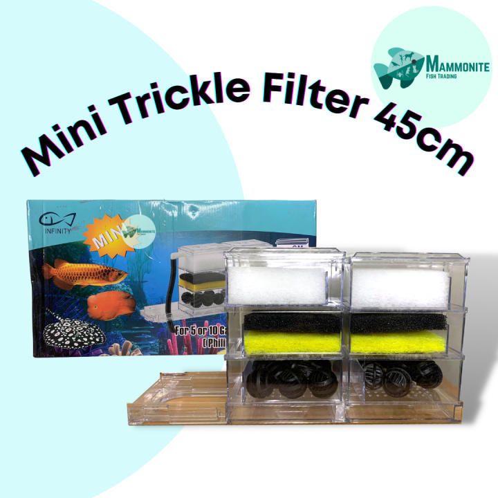 Infinity Mini Trickle Filter Set FREE Aquaspeed Submersible Pump A1200E ...