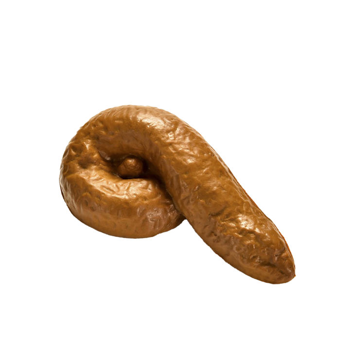 TDS Fake Turd 6-Shape Design Realistic Disgusting Disgusting Fake Turd ...