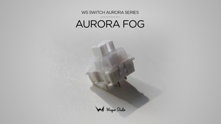 WS Switches Aurora Series x 10 pcs | Lazada.co.th