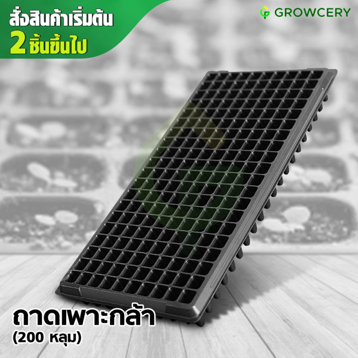 [G.] ถาดเพาะกล้า ถาดหลุม ถาดเพาะ ถาดเพาะเมล็ด จำนวน 200 หลุม (หนา 1 มม.)**สั่งขั้นต่ำ 2 ชิ้น ...
