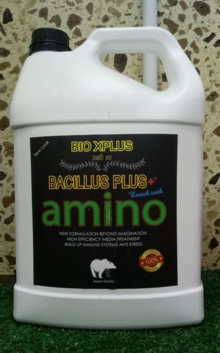 Bio Xplus BACILLUS PLUS+ dengan tambahan AMINO (Perawat Kulat Secara ...