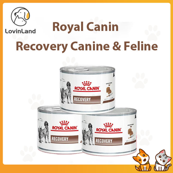 Royal Canin Recovery Canine & Feline 195g | Lazada PH