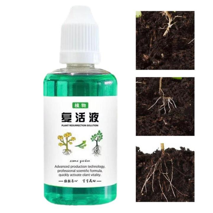 Root Boost for Plants 30ml Root Enhancer for Plants Root Booster Indoor ...