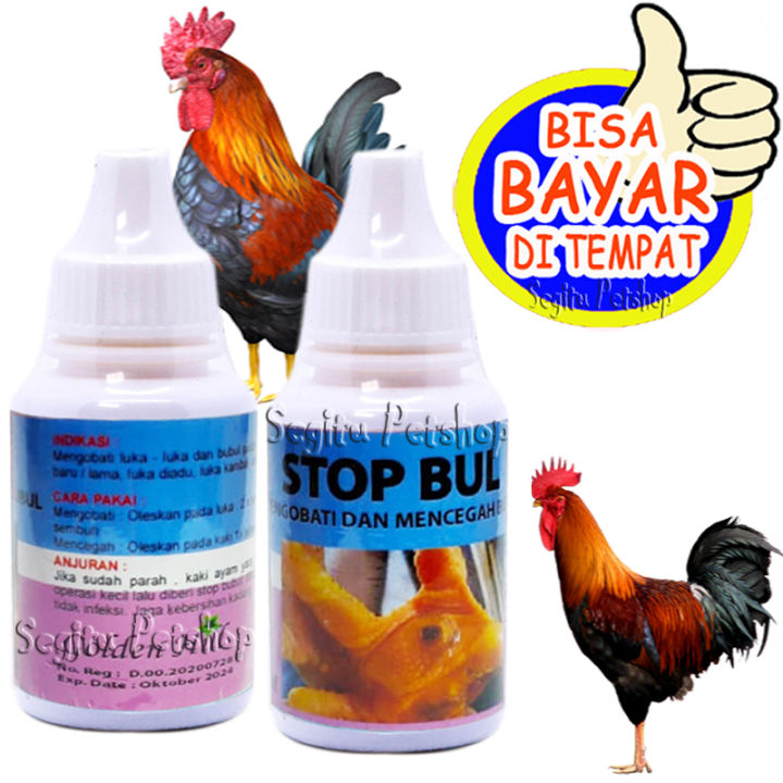 Obat Koreng Ayam Jago Bangkok Sakit Luka Infeksi Kulit Gudix Jamur Stop Bull | Lazada Indonesia