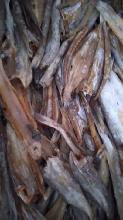 ikan asin boboso jambrong murah 1kg | Lazada Indonesia