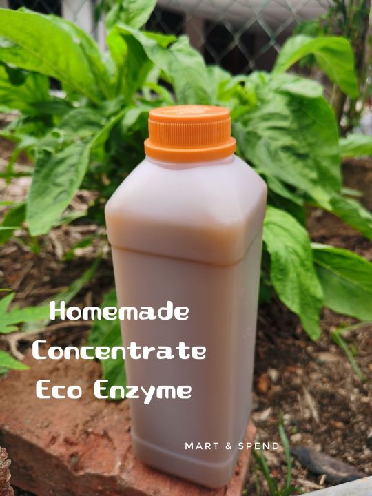[READY STOCK] Homemade Natural Concentrated Eco Enzyme Fruit Waste ...