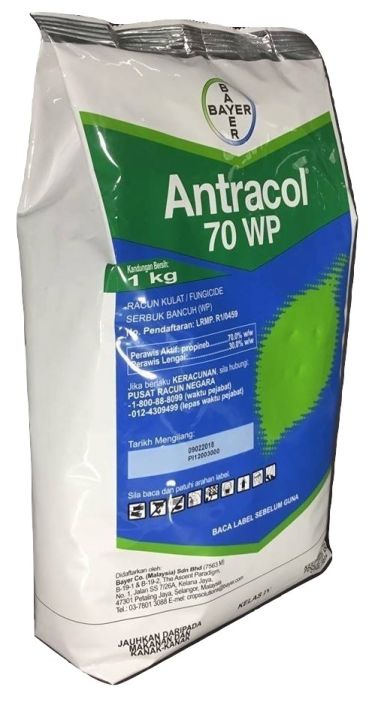 [OFFICIAL SELLER] BAYER ANTRACOL FUNGICIDE POWDER 1KG (FUNGICIDE SPRAY ...