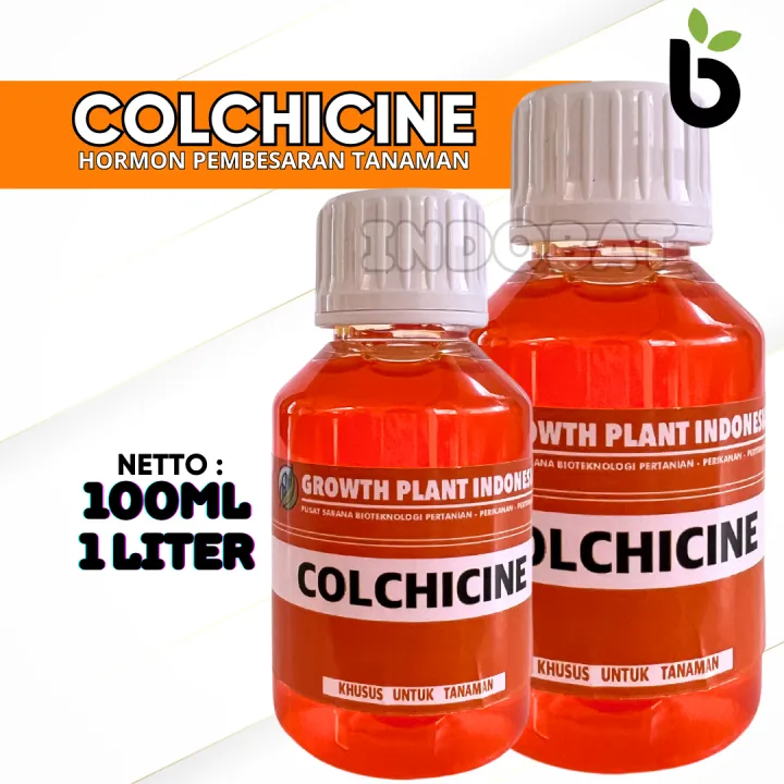 Hormon COLCHINE Formula Khusus Untuk Pembesaran Batang Dan Buah Tanaman ...