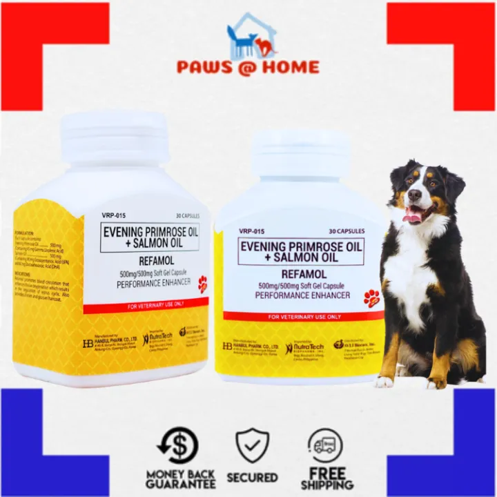 REFAMOL PERFORMANCE ENHANCER 30 TABS FOR DOGS | Lazada PH