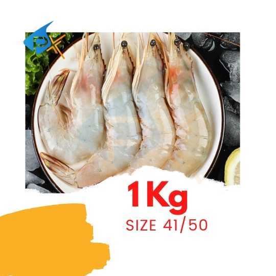 WHITE PRAWN SEMI AA - 41/50 明虾 | Lazada