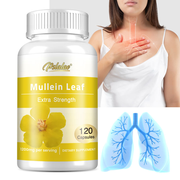 Mullein - 120 Capsules - Ingredient Supplement para Suportahan ang ...