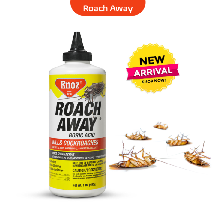 Roach Away Powder Boric Acid - 100 gram | Lazada
