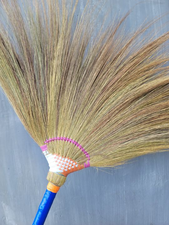 Local Broom Salay Baguio and Buri | Lazada PH
