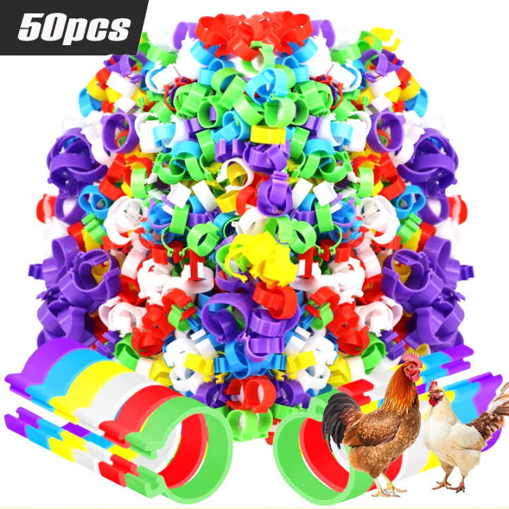 50Pcs Chicken leg ring Identification clip ring Poultry leg bands 16mm ...