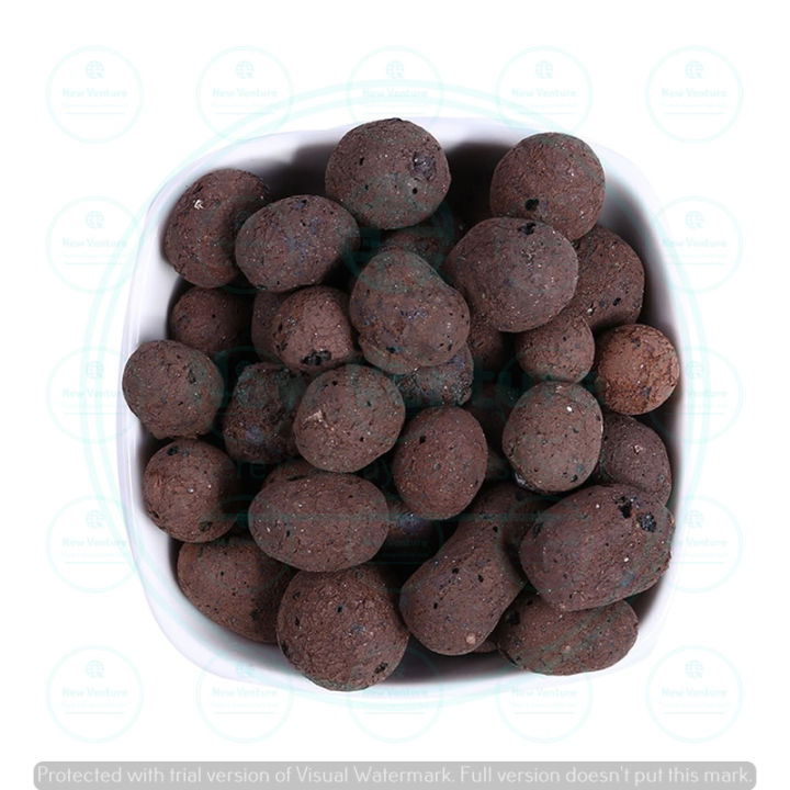 Hydroton Clay Balls for Soilles Planting (500grams) | Lazada PH