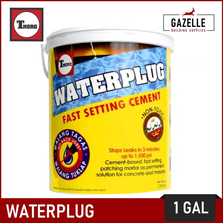 Waterplug Fast Setting Cement Cementitious Waterproofing 2.5LB | Lazada PH