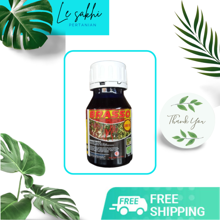 INSEKTISIDA BRASSO 250 EC - 250 ML Ampuh untuk lalat buah | Lazada Indonesia