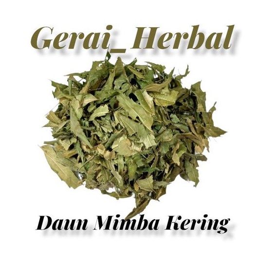 Daun Mimba Kering 1kg Daun Membo | Lazada Indonesia