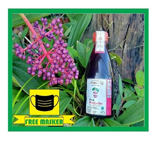 Sirup Parijotho Alammu Parijoto Muria Kudus 350 ML | Lazada Indonesia