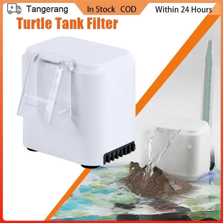 Small Turtle Low Water Filter Air Dangkal Pacman Kura Kura Ikan Sun Sun ...