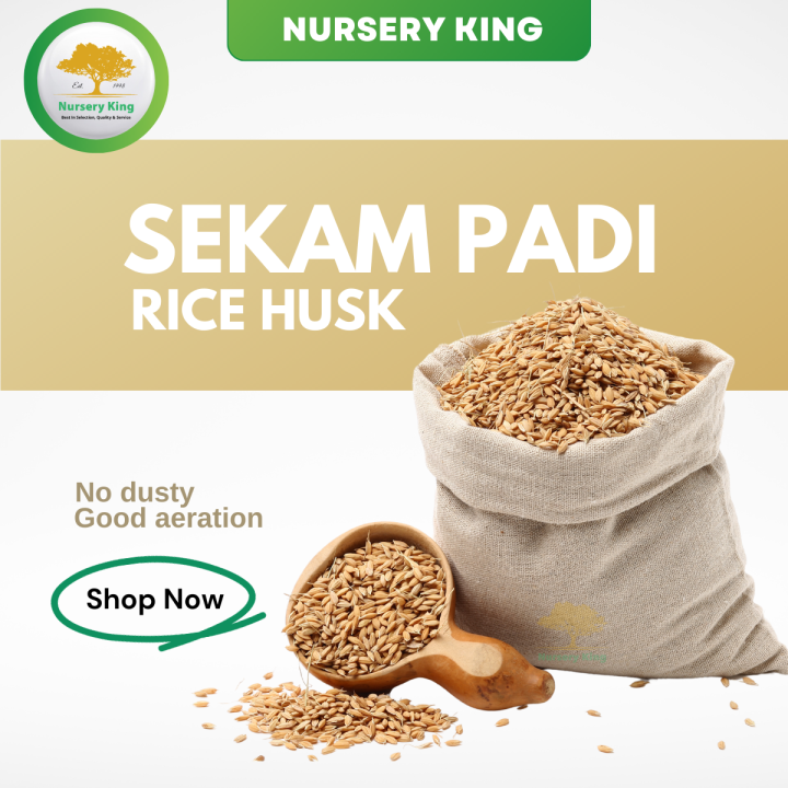 Paddy Husk/Chaff For Plantation Sekam Padi Tanam Pokok 700g | Lazada
