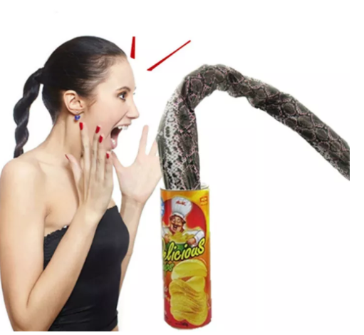 1 pc Tricky Potato Chip Snake Toy Prank | Lazada PH