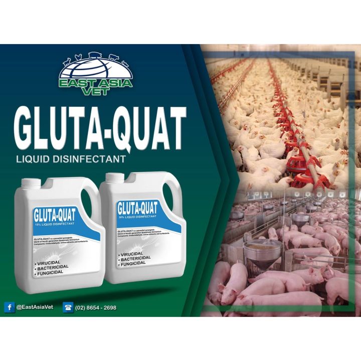 Gluta-Quat Disinfectant for Farm piggery Animals 4 Liters 15% / 30 % ...
