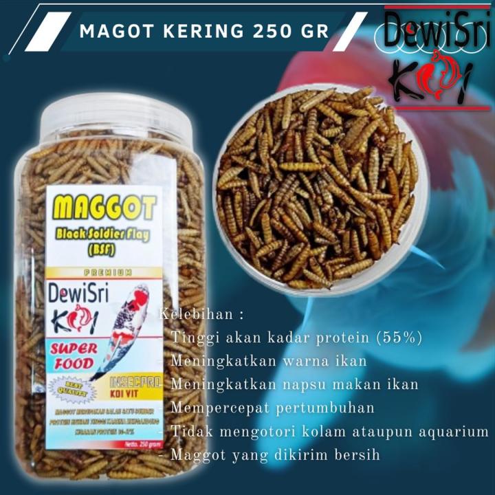 Magot Kering 250 Gram Maggot Premium Protein Tingkat Tinggi Pakan Ikan ...