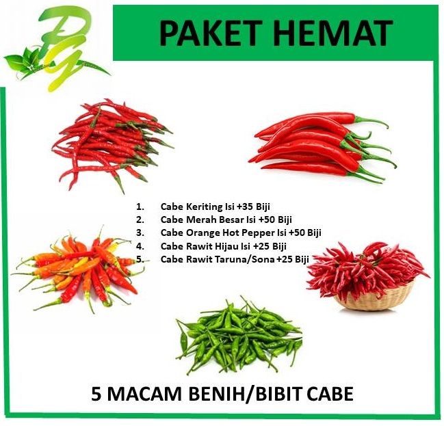 PEERINA Paket Benih Bibit Cabe 5 Macam - Cabai Besar Cabe Keriting Cabe ...