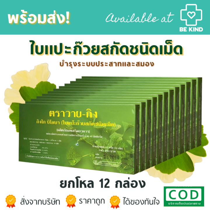 Y-Gink ผลิตภัณฑ์เสริมอาหารสารสกัดจากใบแปะก๊วย ชนิดเม็ด ตราวาย-กิง ...