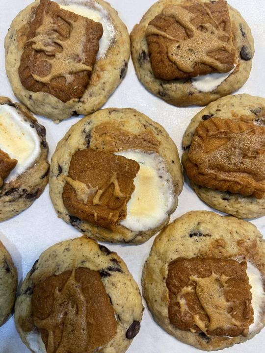 BIGGER!!! Biscoff Cookies Breastmilk Booster Freshly Baked FOR ...