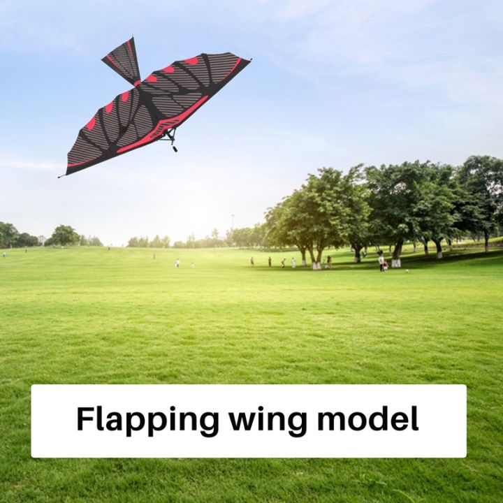 Carbon Fiber Model Aircraft Assembly Flapping Wing Aircraft Diy Model ...