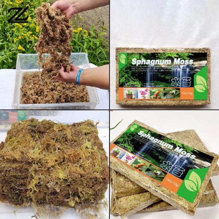 150G Natural Sphagnum Moss Dry Peat Moss Potting Mix Soil Moisturizing ...