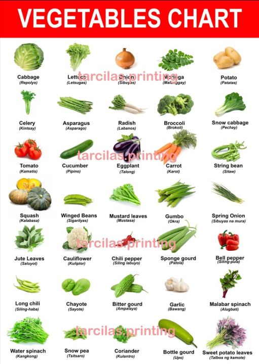 Vegetables Chart A4 Laminated High Print Quality | Lazada PH