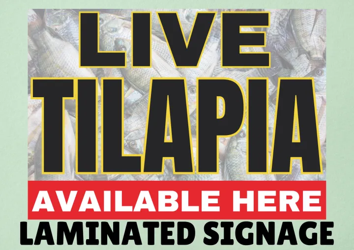 HIGH QUALITY LAMINATED SIGNAGE “LIVE TILAPIA AVAILABLE HERE” | Lazada PH