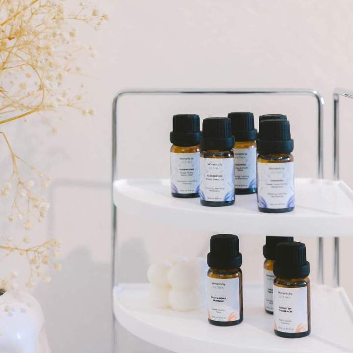 Ultima Dual Nozzle Aroma Diffuser | Lazada PH