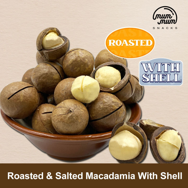 Roasted Macadamia Nut with Shell (Salted) - comes with key to open | Lazada
