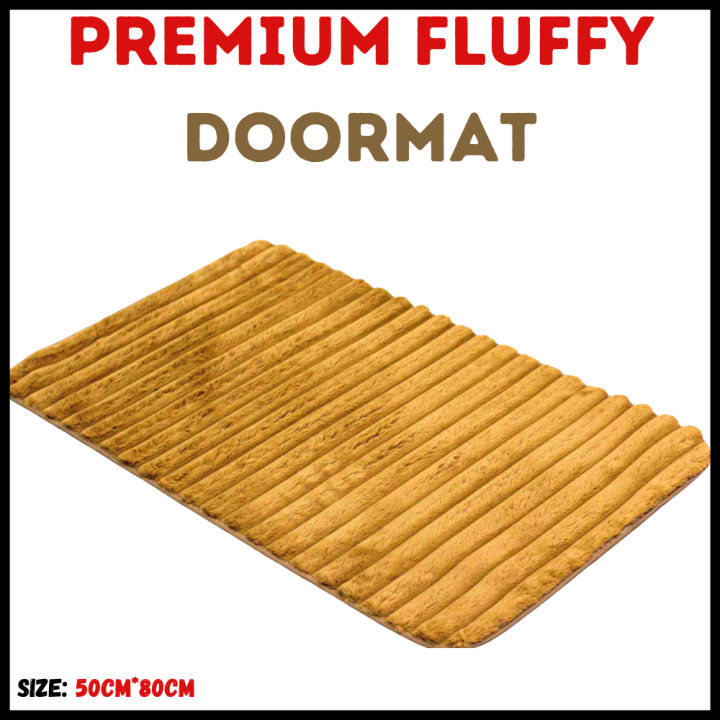 JD Shops22 Premium Fluffy Doormats Rags For Front Door Mat Water ...