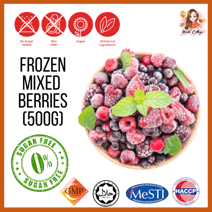 Frozen Mixed Berries 500g | Lazada