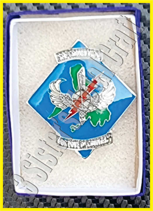 SPECIAL ACTION FORCE (SAF) COMMANDO PIN - PNP | Lazada PH