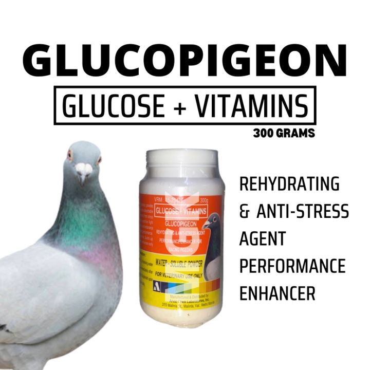 GLUCOPIGEON 300g STRESS RECOVERY PERFORMANCE ENHANCER FOR RACING PIGEON ...