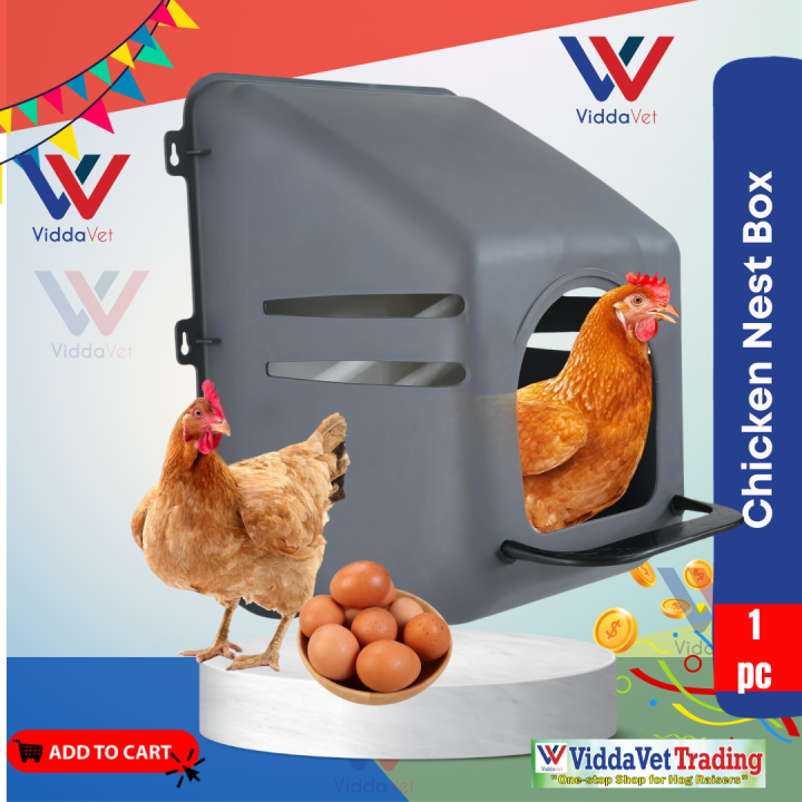 Plastic Nesting box chicken layer Plastic Nesting Box Chicken chicken ...