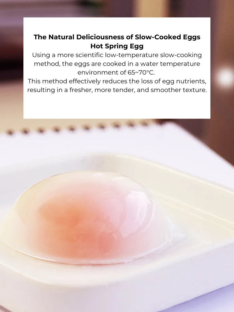 Commercial Hot Spring Egg Boiler – Stainless Steel Automatic Egg Cooker ...